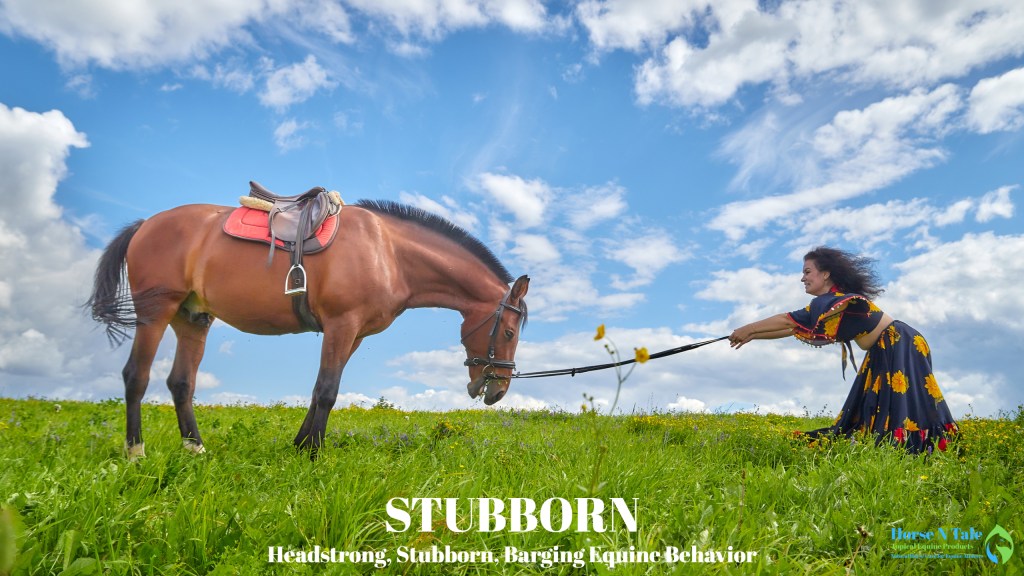 STUBBORN HORSE PROBLEMS - Horse N Tale Topical Equine Products