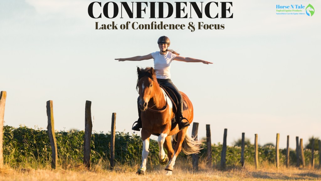 RIDING WITH CONFIDENCE - Horse N Tale Topical Equine Products