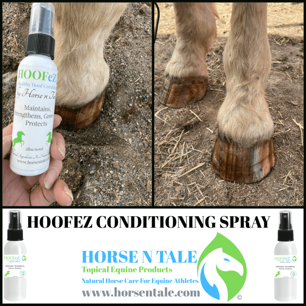 Horse Hooves Conditioning Spray - Horse N Tale Topical Equine Products
