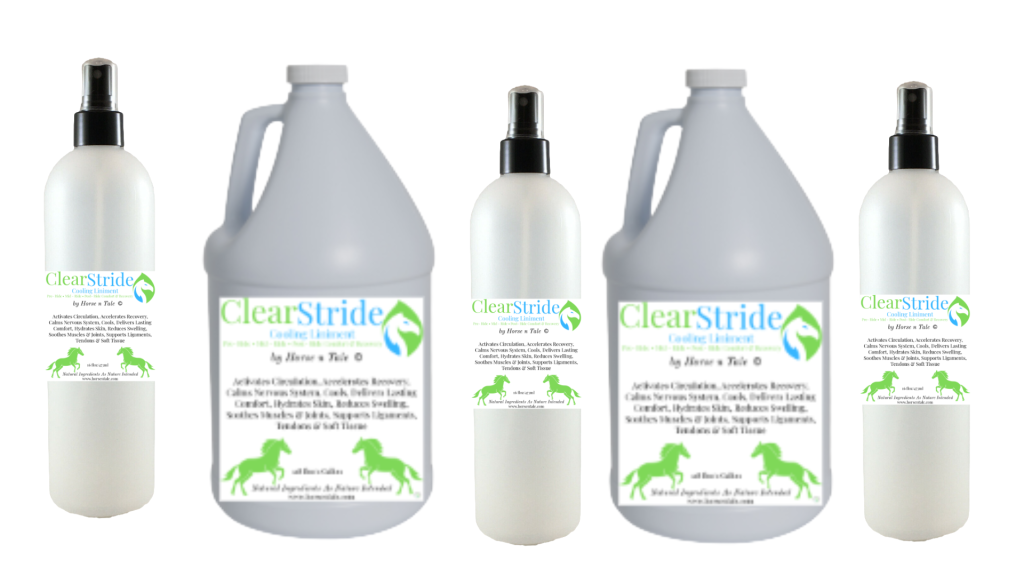 CLEAR STRIDE COOLING LINIMENT - Horse N Tale Topical Equine Products